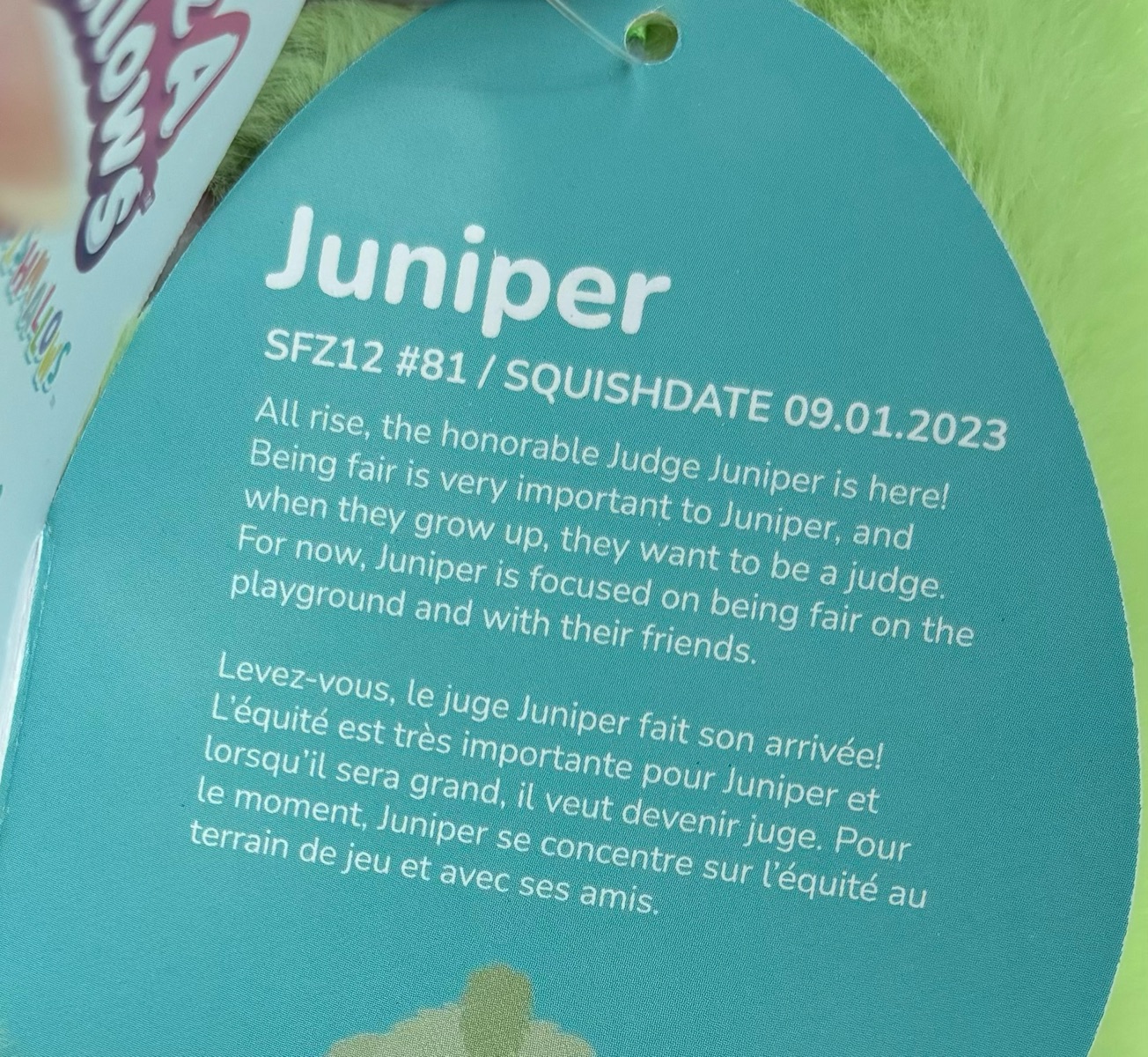 Juniper (Fuzz-A-Mallows) the Donkey Squishmallows | SquadApp