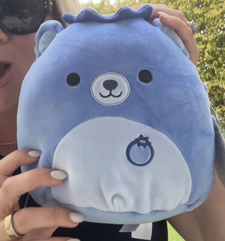 Brunswick the Blueberry Bear Squishmallows Crossover | SquadApp