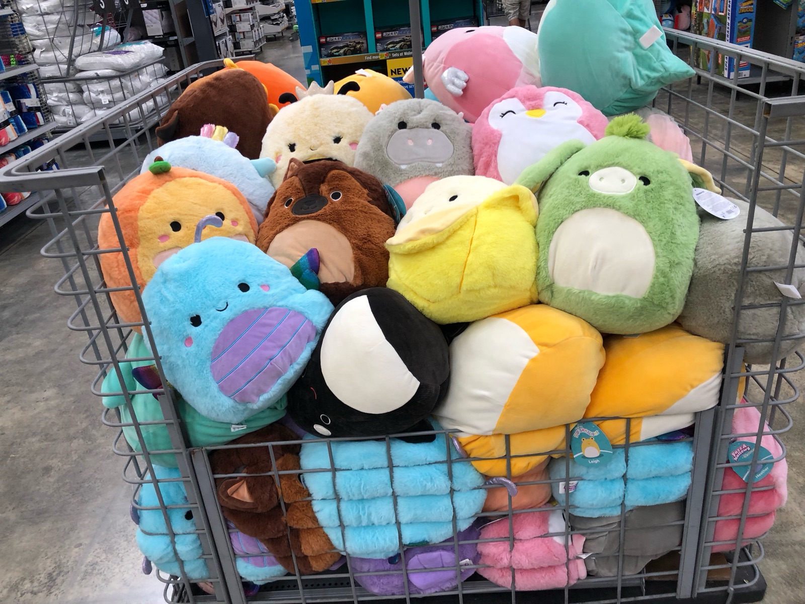 Juniper (Fuzz-A-Mallows) the Donkey Squishmallows | SquadApp