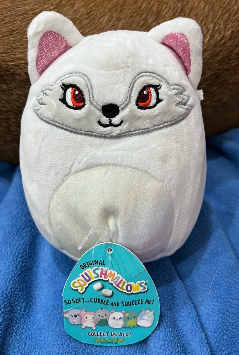 Gracelynn the Arctic Fox Squishmallows | SquadApp