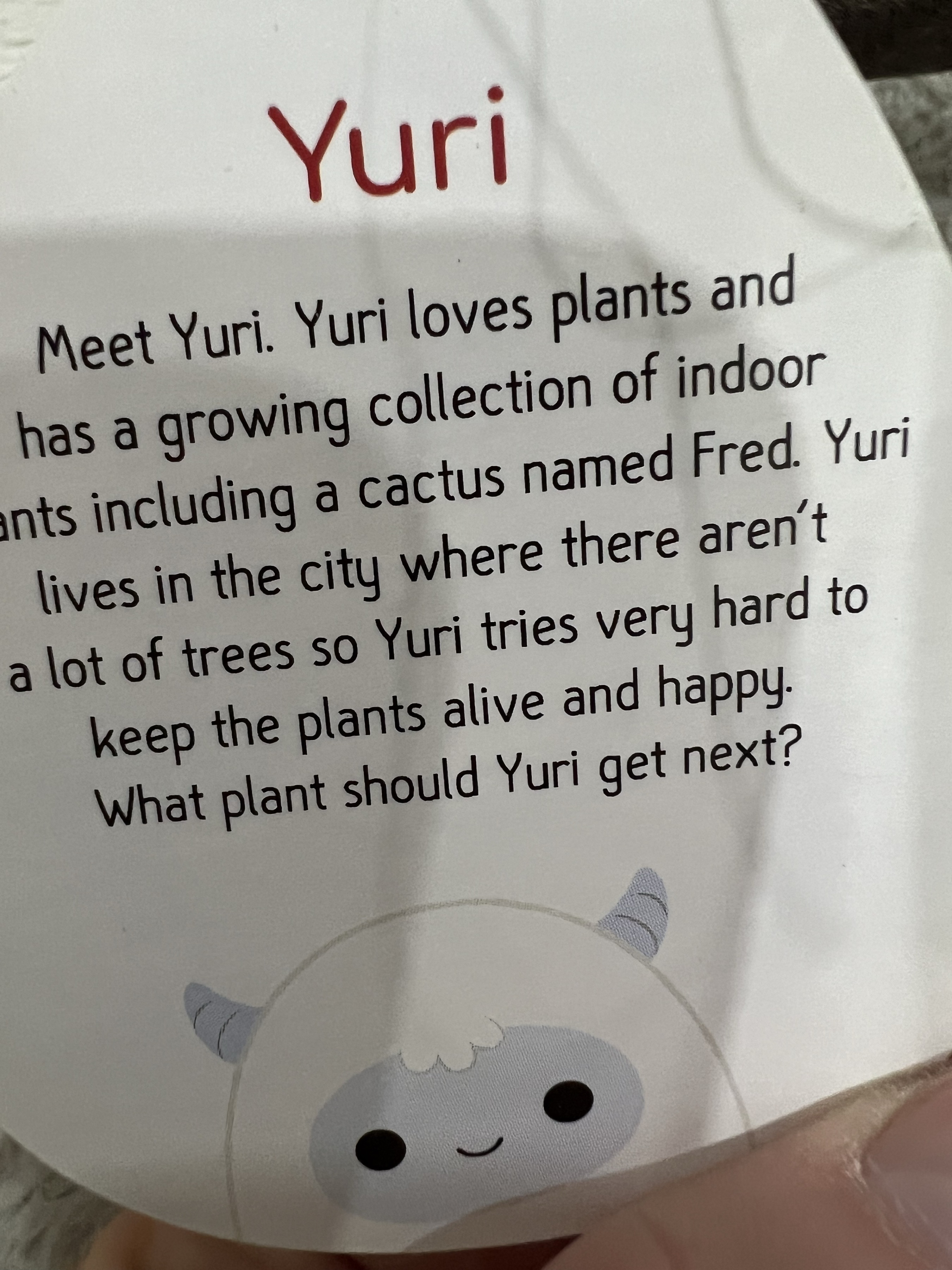 Yuri the Yeti Squishmallows | SquadApp