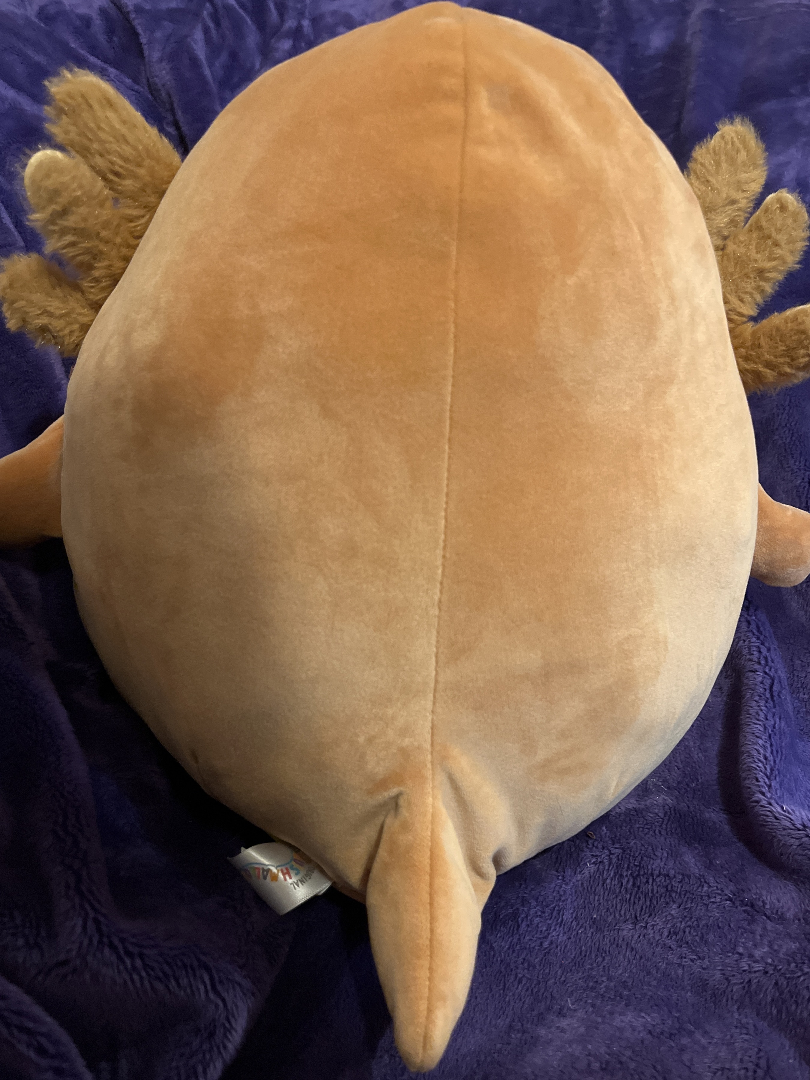 Den the Gingerbread Axolotl Squishmallows Holiday 2023 | SquadApp