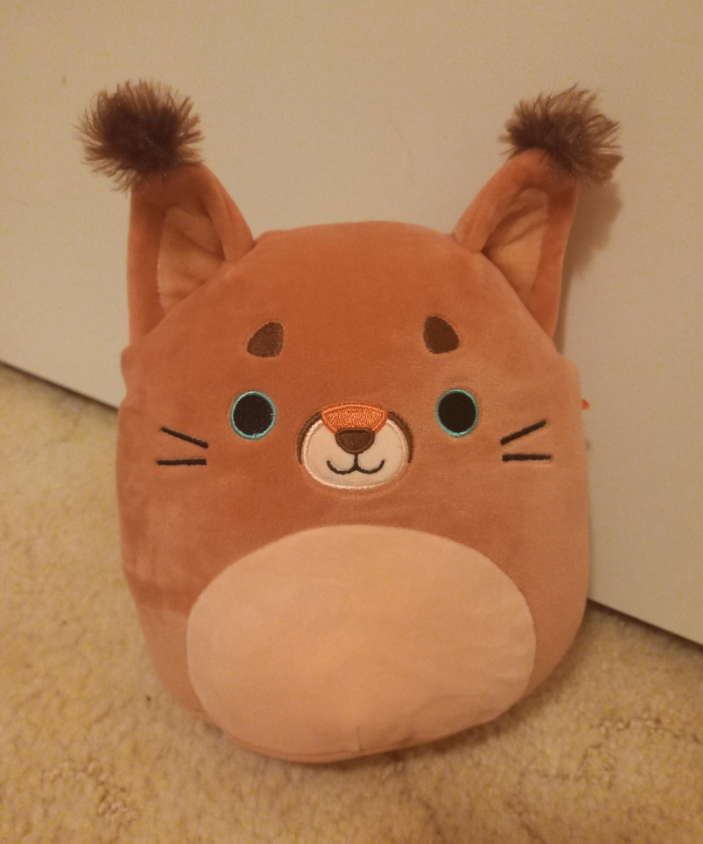 Ferraz the Caracal Cat Squishmallows Everyday Spring | SquadApp