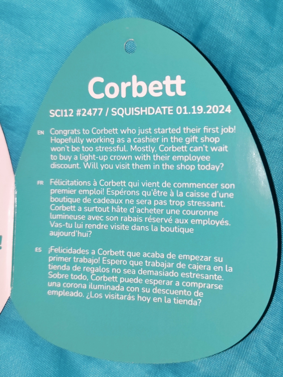 Corbett the Turkey Leg Squishmallows Check-In Series, Cedar Fair Parks ...