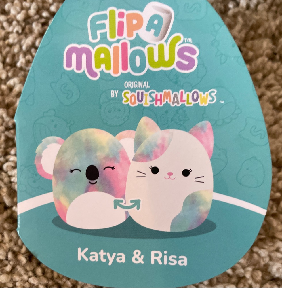 Katya & Risa the Koala Cat Squishmallows | SquadApp