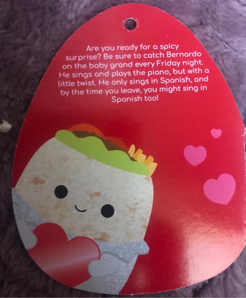 Bernardo the Burrito Squishmallows Valentine | SquadApp