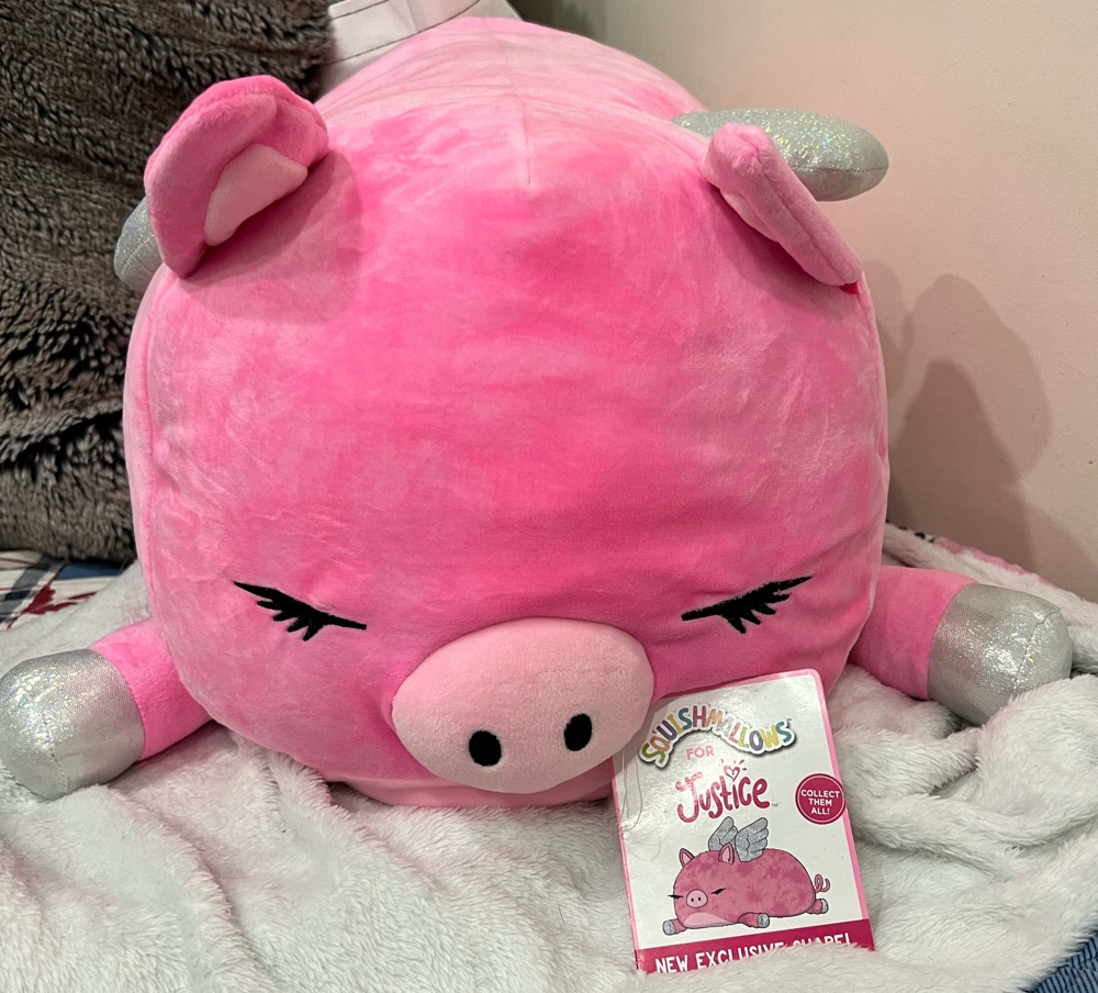 Joy (Hug Mees) the Flying Pig Squishmallows Justice | SquadApp