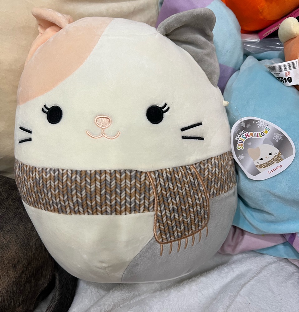 Camette the Cat Squishmallows Christmas | SquadApp