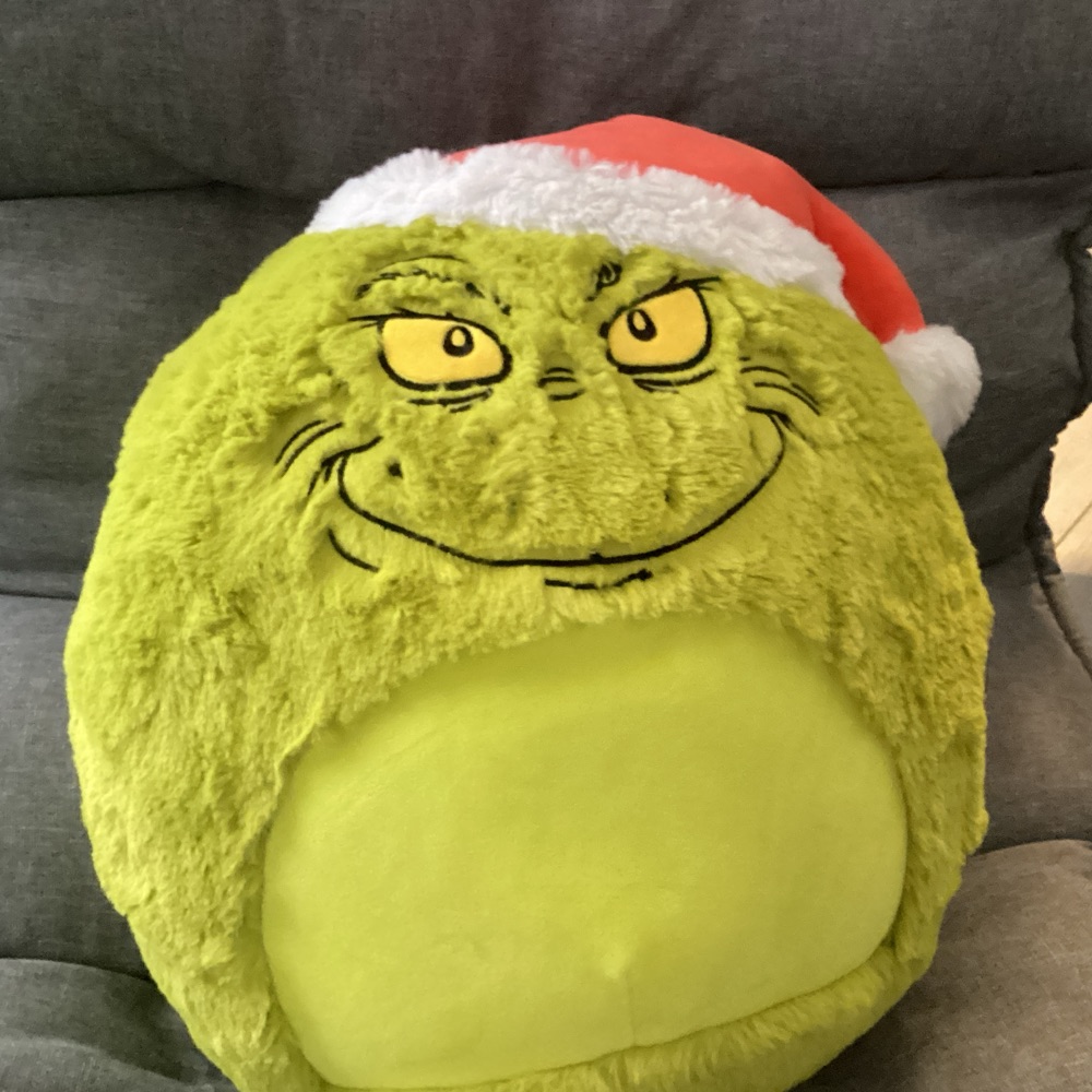 Grinch (Fuzz-A-Mallows) the Monster Squishmallows The Grinch, Holiday ...