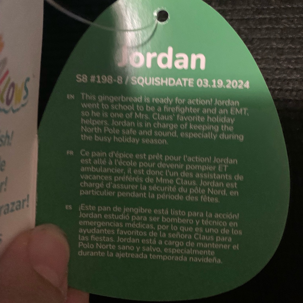 Jordan the Gingerbread Squishmallows Holiday 2024 | SquadApp Jordan the Gingerbread Squishmallows Holiday 2024 | SquadApp