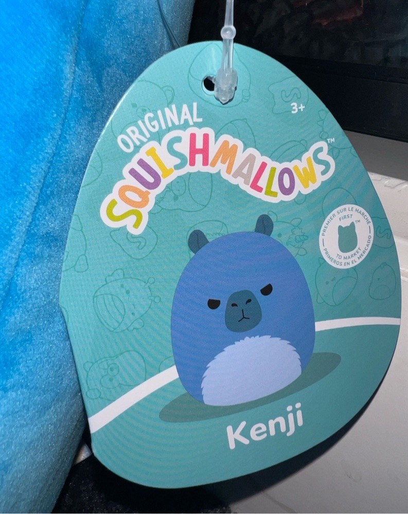Kenji the Capybara Squishmallows | SquadApp