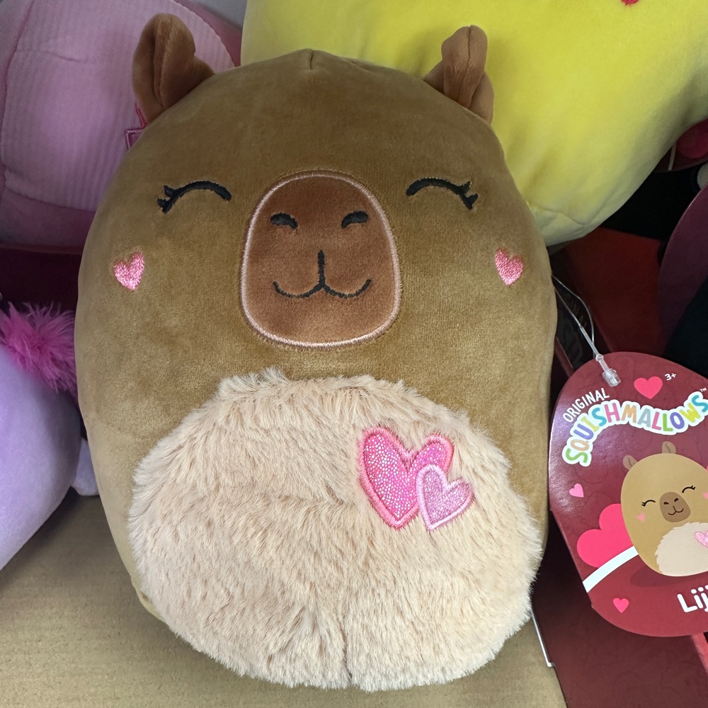 Lijjian (Hearts) the Capybara Squishmallows Valentines 2025 | SquadApp