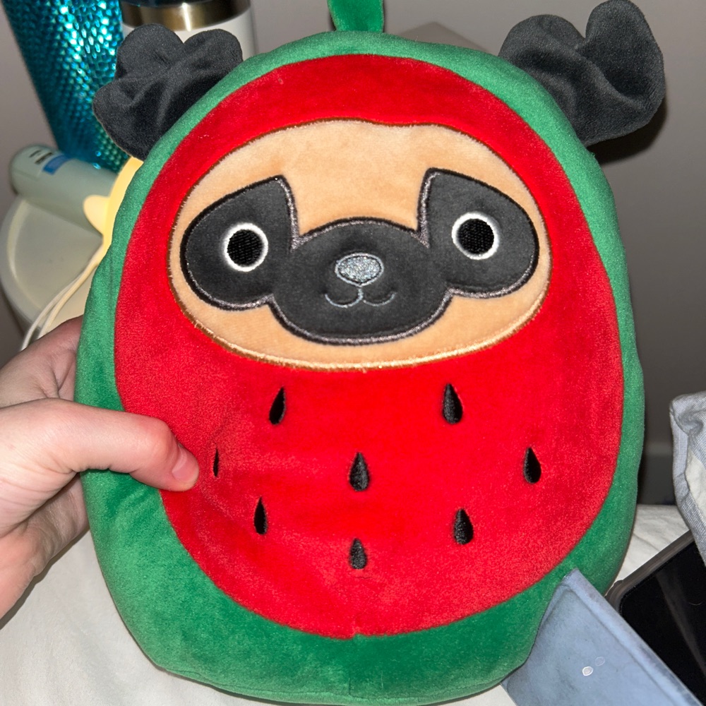 Prince (Watermelon) the Pug (Dog) Squishmallows Costume, Fruit | SquadApp