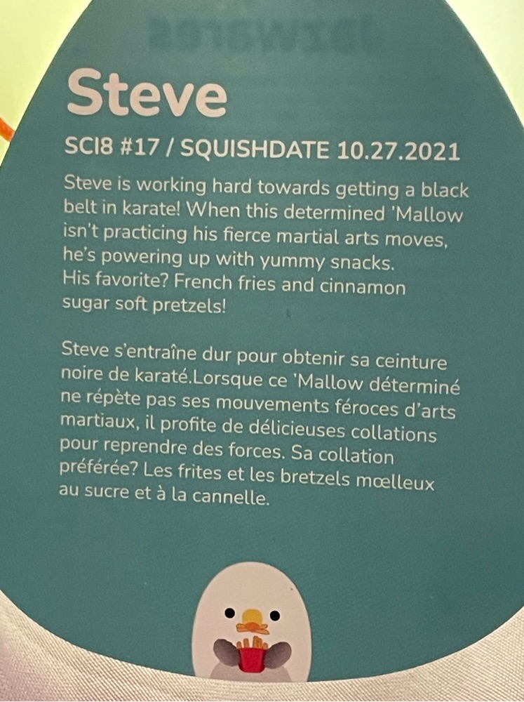 Steve (French Fries) the Seagull Squishmallows Cedar Point, Check-In ...