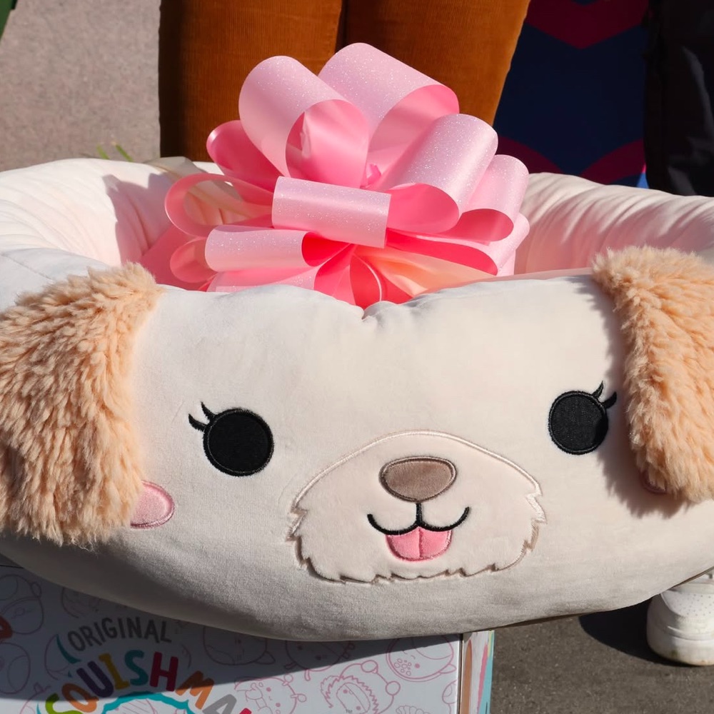 Liberty (Pet Bed) the Dog Squishmallows Make-A-Wish | SquadApp