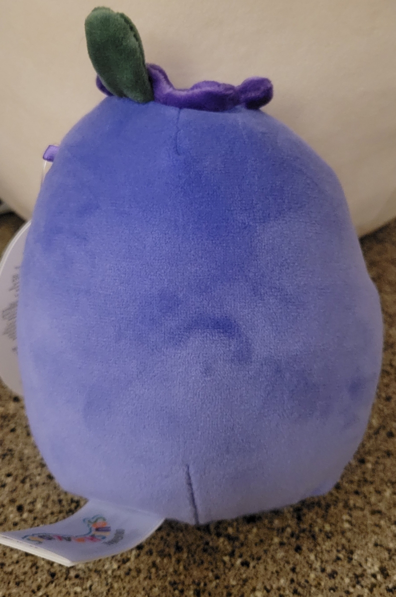Bluby (Winking, Flower) the Blueberry Squishmallows | SquadApp