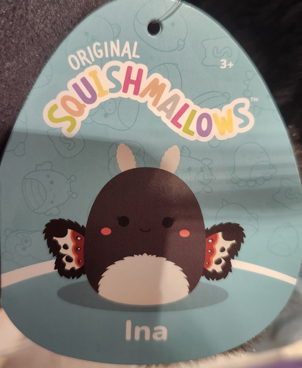 Ina the Moth Squishmallows | SquadApp
