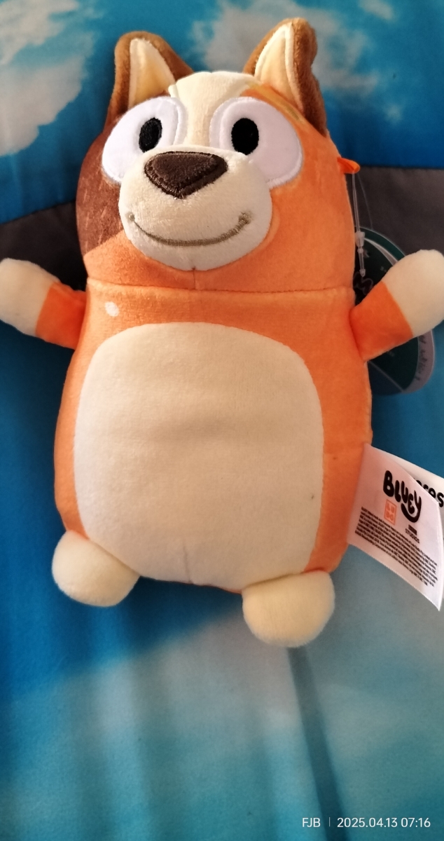 Chilli (Hug Mees) the Red Heeler (Dog) Squishmallows Bluey | SquadApp