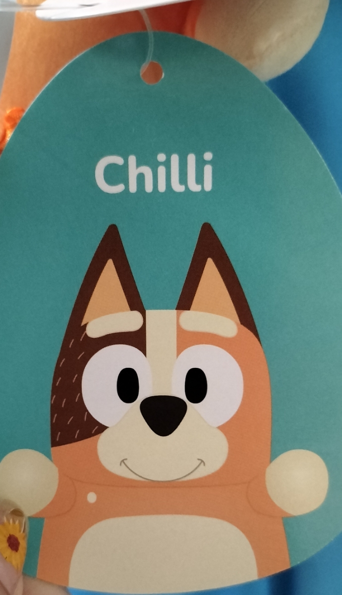 Chilli (Hug Mees) the Red Heeler (Dog) Squishmallows Bluey | SquadApp
