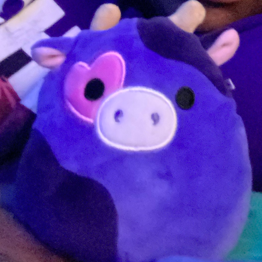 Ingred (Heart Eye) the cow Squishmallows Valentines 2025 | SquadApp