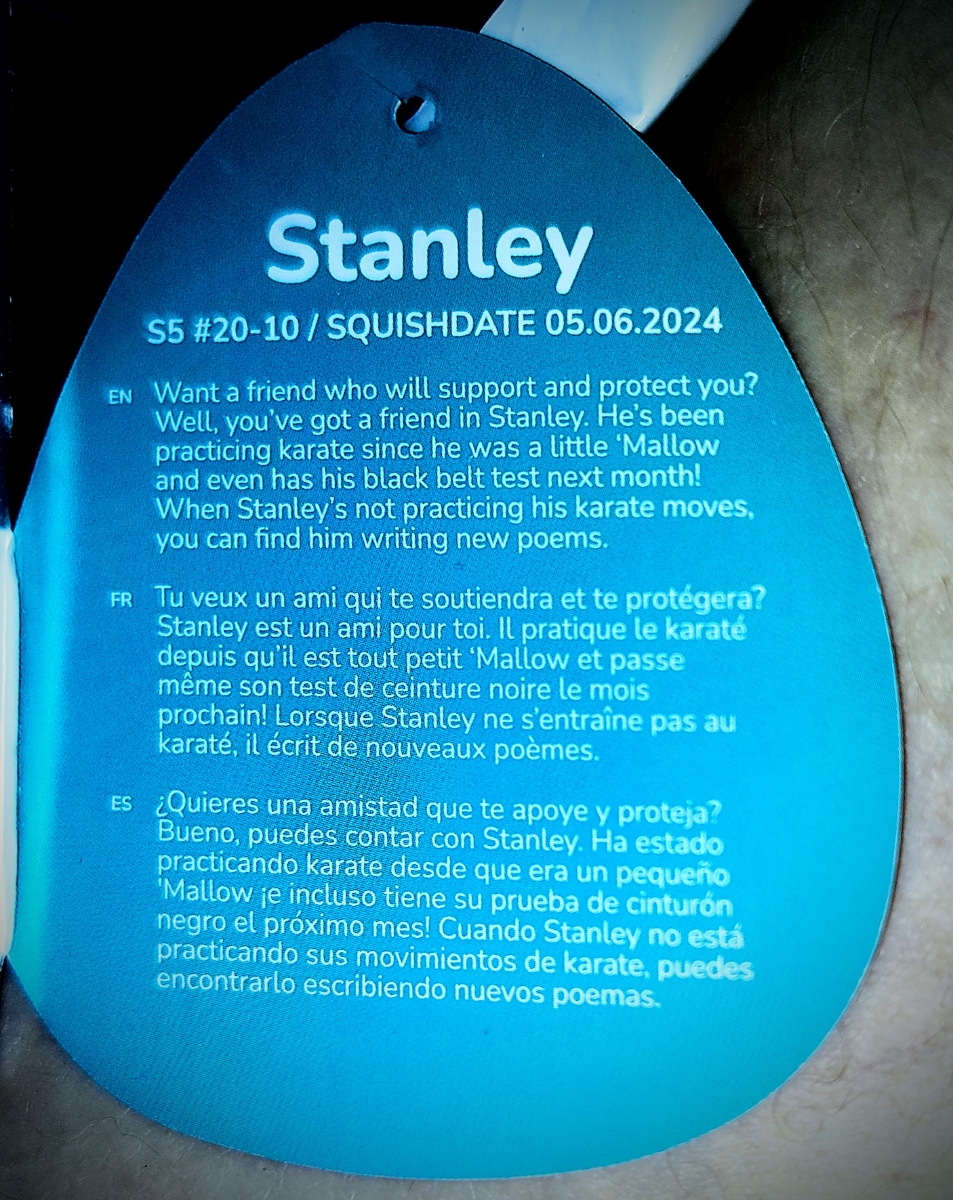 Stanley (Banana) the Panda Squishmallows Epic Collection | SquadApp