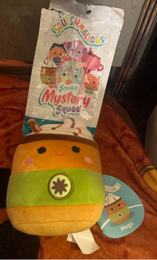 Megz the Latte Squishmallows Mystery, Scented | SquadApp