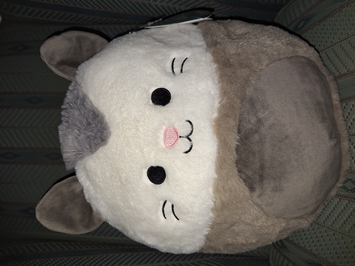 Luanne (Fuzz-A-Mallows) the Opossum Squishmallows Rare | SquadApp