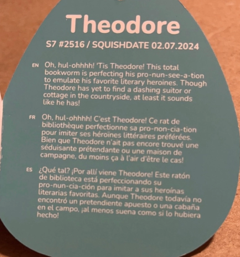 Theodore the Roadrunner Bird Squishmallows | SquadApp