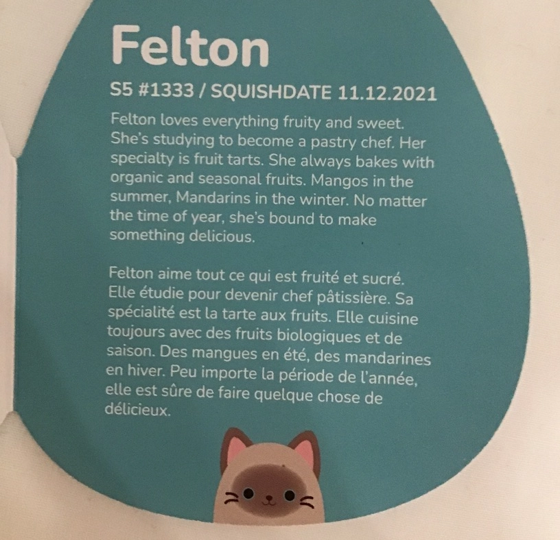 Felton the Siamese Cat Squishmallows Pets | SquadApp