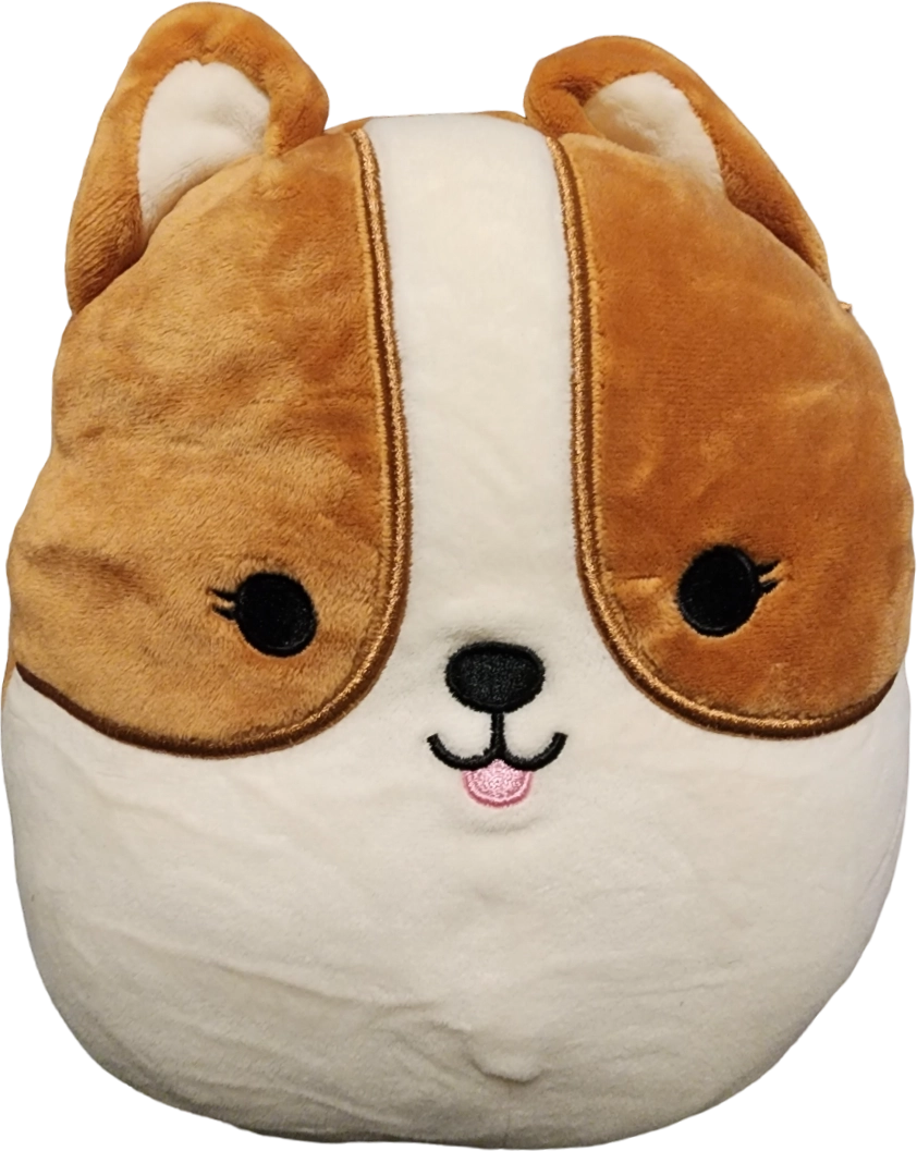 Reginald (Rainbow Tail) the Corgi (Dog) Squishmallows | SquadApp