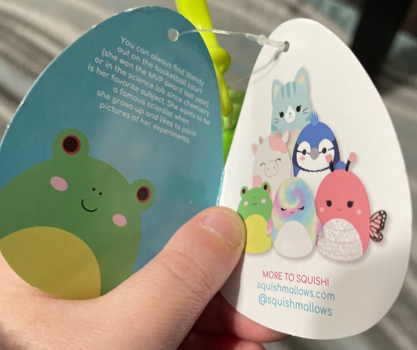 Wendy the Frog Squishmallows Original | SquadApp