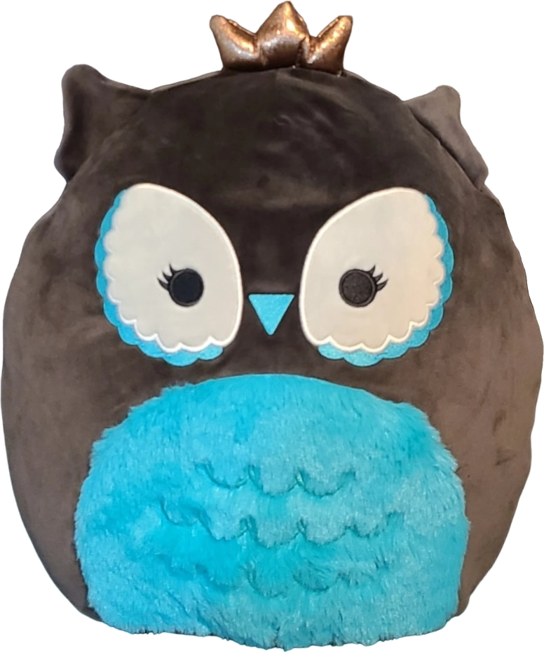 Quest the Owl Squishmallows Halloween 2023 | SquadApp