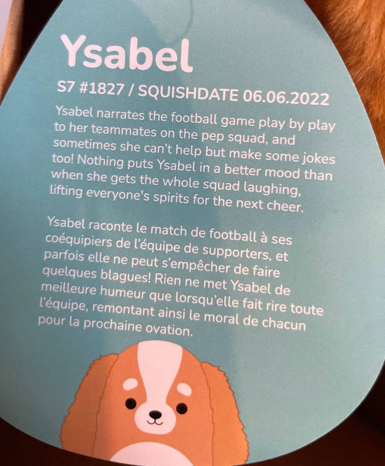 Ysabel the Dog Squishmallows Pets,5B 4.30.23 | SquadApp