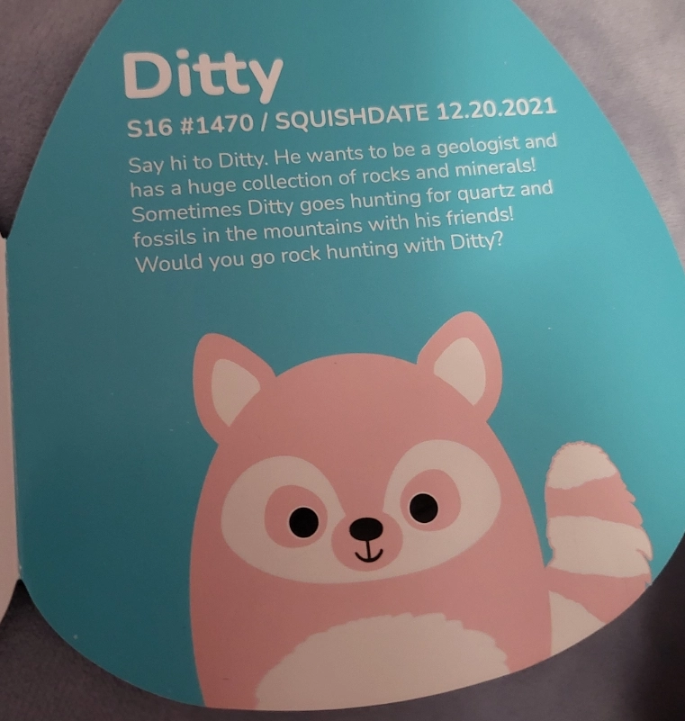 Ditty the Lemur Squishmallows | SquadApp