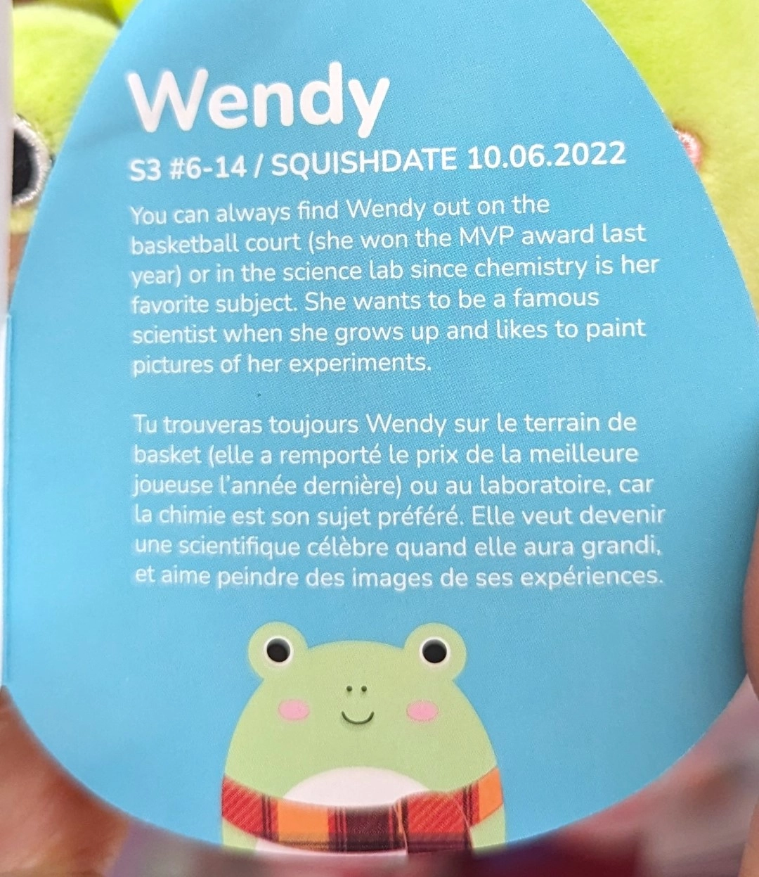 Wendy (Scarf) the Frog Squishmallows | SquadApp