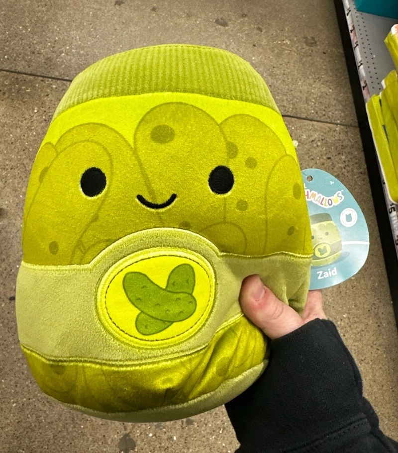 Zaid the Pickle Jar Squishmallows 5B 4.7.24 | SquadApp