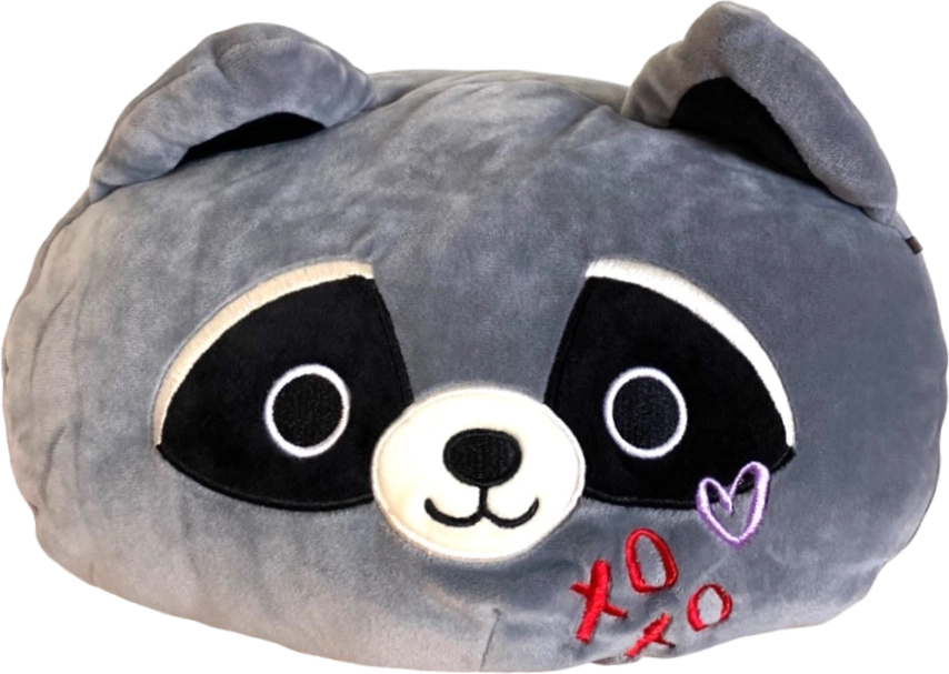 Randy (Stackable) the Raccoon Squishmallows Valentine | SquadApp