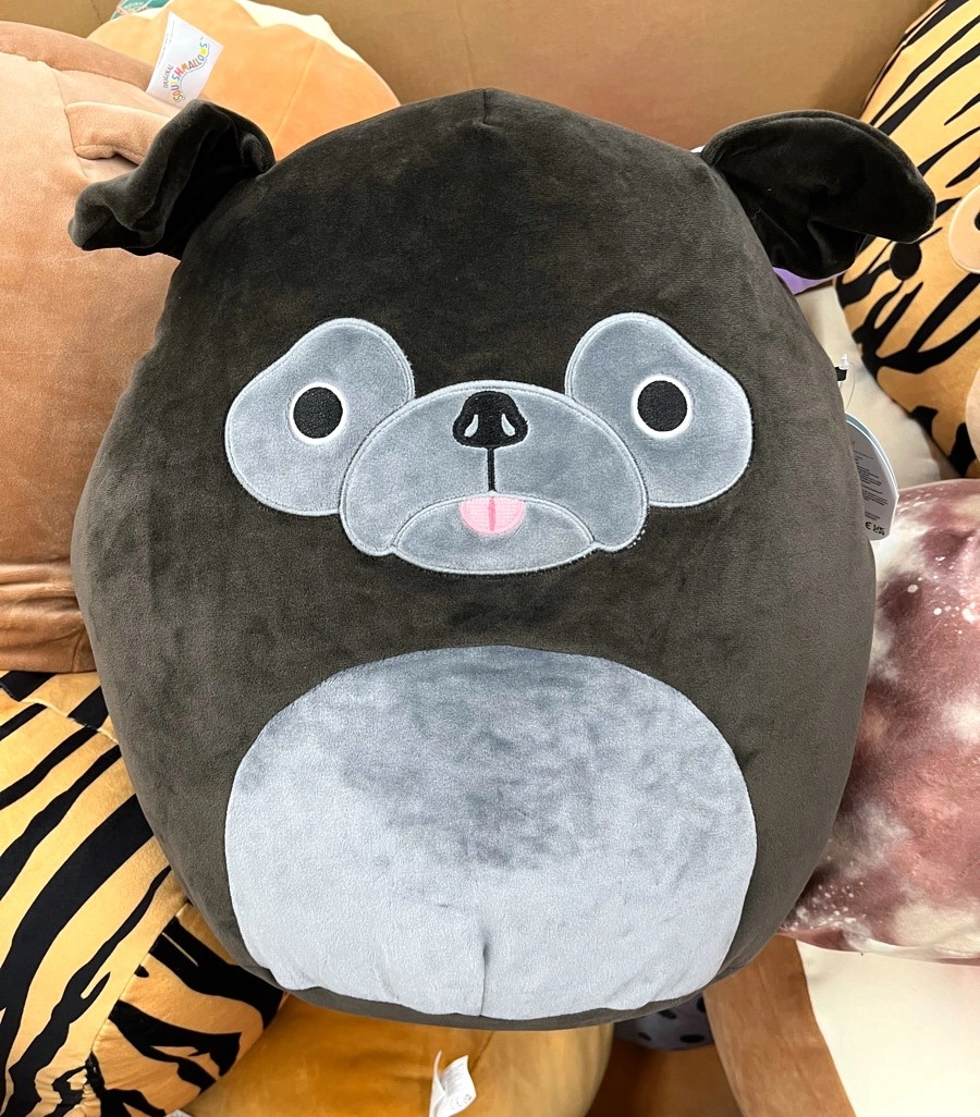 Bongo the Pug (Dog) Squishmallows | SquadApp