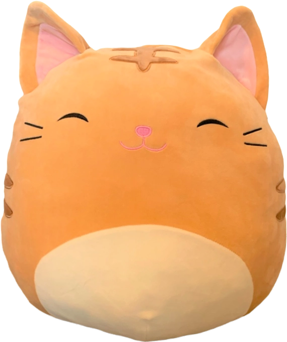 Nathan (Pink Ears) the Cat Squishmallows | SquadApp