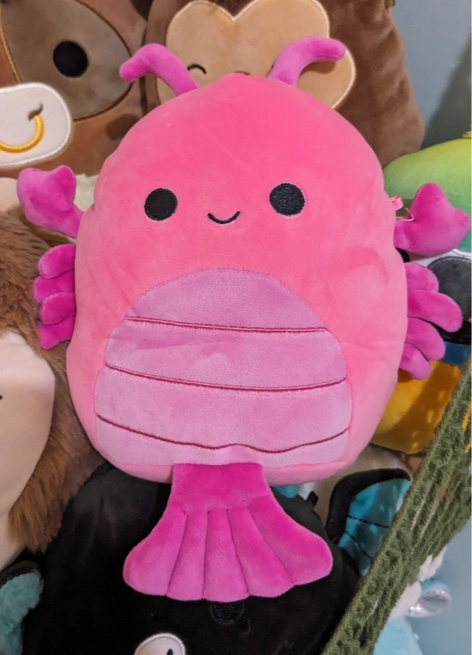 Cordea the Lobster Squishmallows Sealife | SquadApp