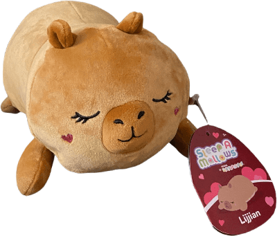 Capybara Squishmallows Plush Toys