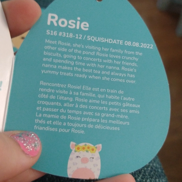 Rosie (Yellow Flower Crown) the Pig Squishmallows Easter | SquadApp