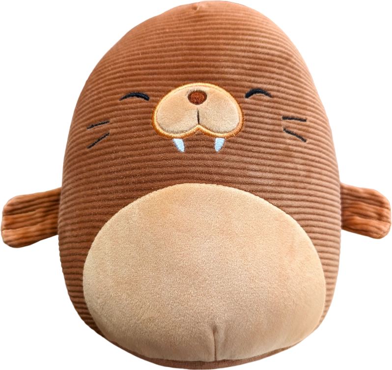 Bruce (Corduroy) the Walrus Squishmallows Squisharoys Sealife | SquadApp