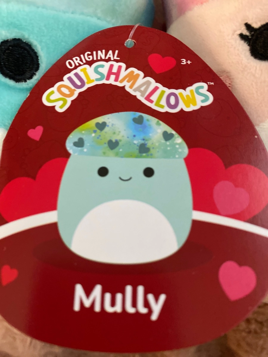 Mully (Teal Body) the Mushroom Squishmallows Valentines 2023 | SquadApp