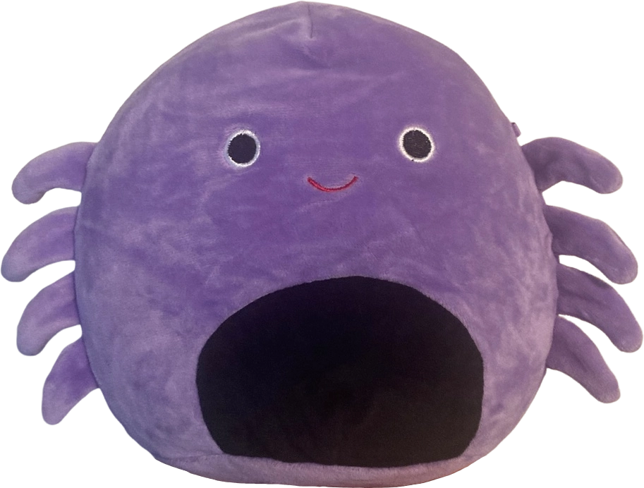 Bella (Purple Spider) the Spider Squishmallows Halloween | SquadApp