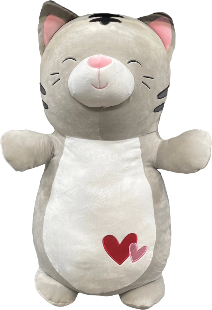 Carson (Valentines, Hug Mees) the Cat Squishmallows Valentines 2023 ...