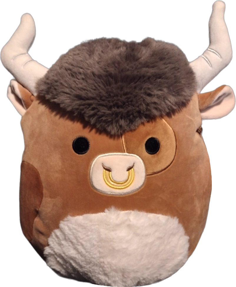 Shep the Bull Squishmallows Wildlife,5B 4/2/23 | SquadApp Shep the Bull Squishmallows Wildlife,5B 4/2/23 | SquadApp