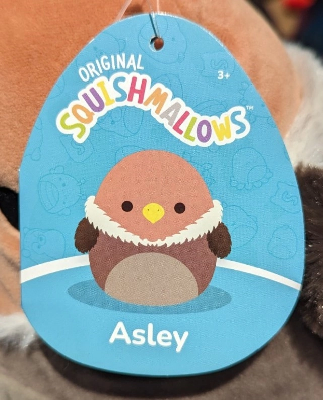 Asley the Vulture Squishmallows Desert | SquadApp