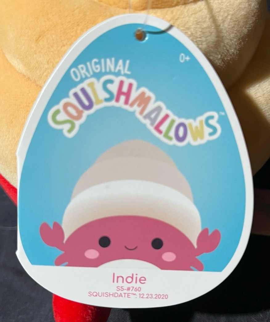 Indie the Hermit Crab Squishmallows Sealife | SquadApp