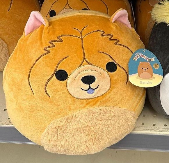 Sandro the Chow (Dog) Squishmallows Ultra Rare | SquadApp